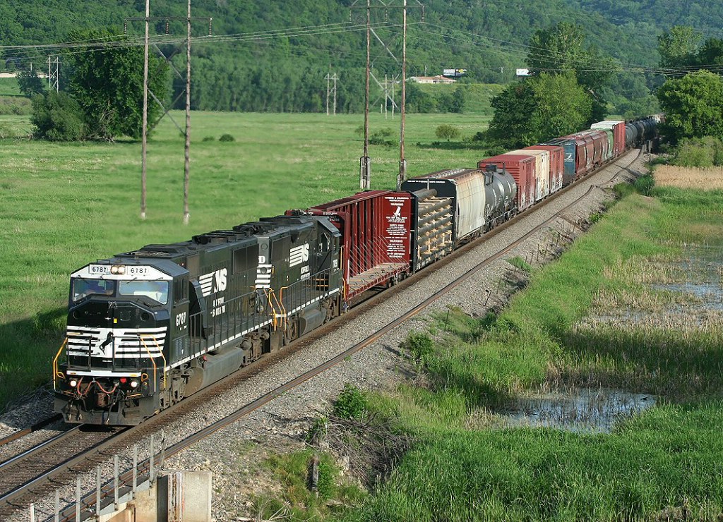 NS 6787